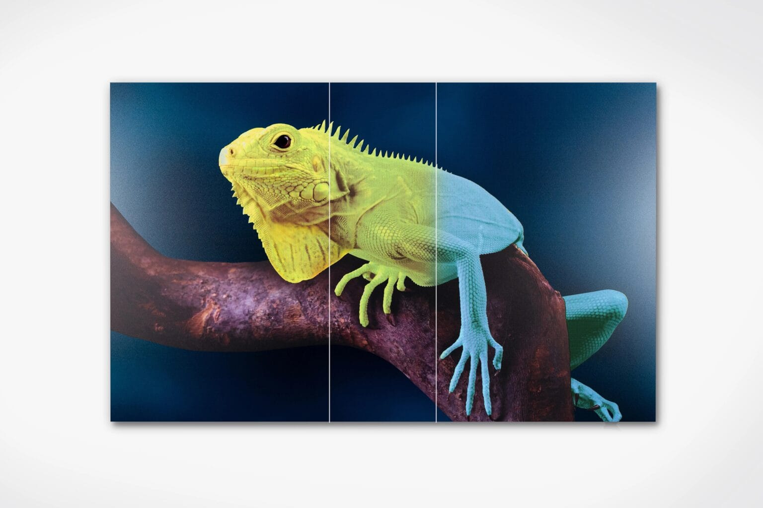 swissQprint Raih Dua Penghargaan EDP Awards 2025 - PT. Mulia Mandiri Supply